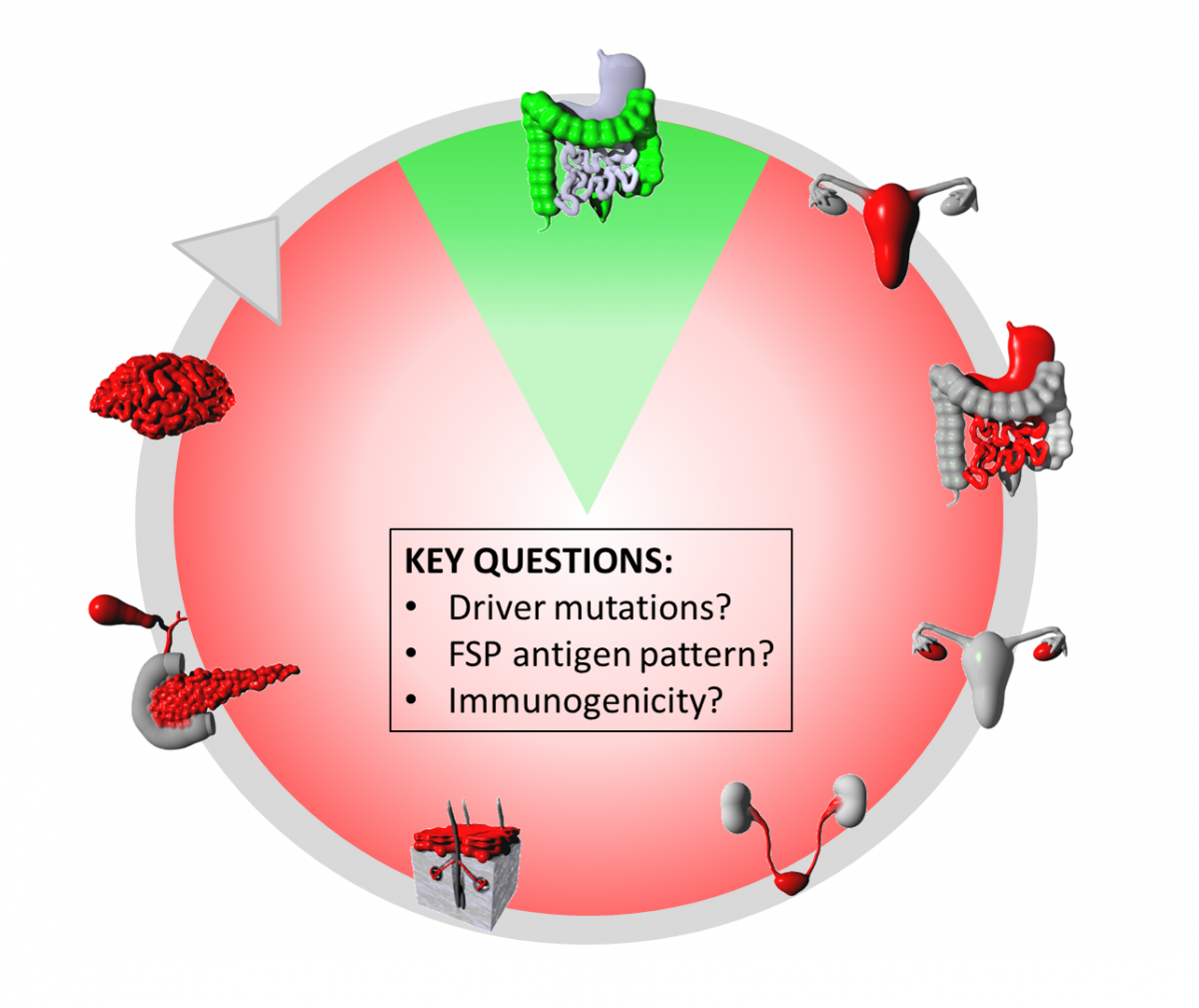 Extracolonic cancers in Lynch syndrome – ATB - Applied Tumor Biology ...